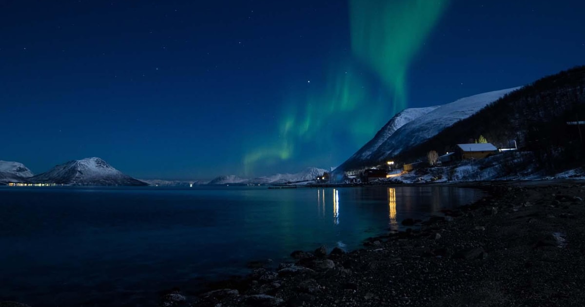 Tromsø: Luminile Nordului Călătorie cu calul Excursie foto | GetYourGuide