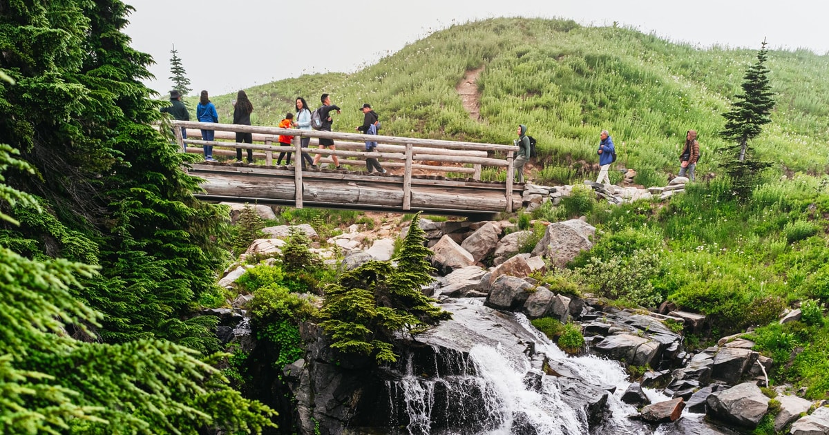 Fra Seattle: Mount Rainier National Park guidet tur | GetYourGuide