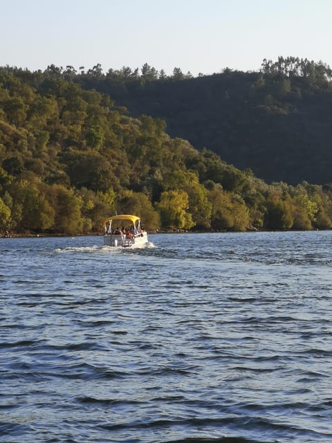 Castelo Branco: Paseo en Barco por el Monumento Natural Portas de Ródão ...