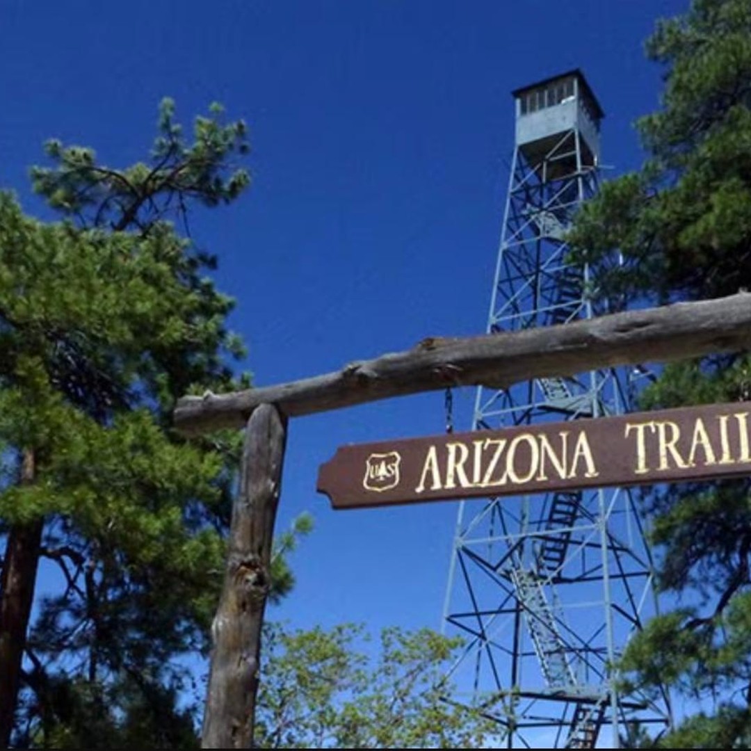 Tusayan: Grand Canyon National Park Off Road Journey | GetYourGuide