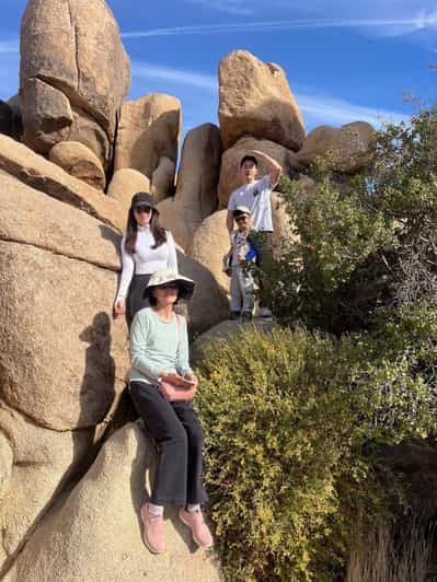 Sightseeing Adventure Tour of Joshua Tree Park (Max 10) | GetYourGuide