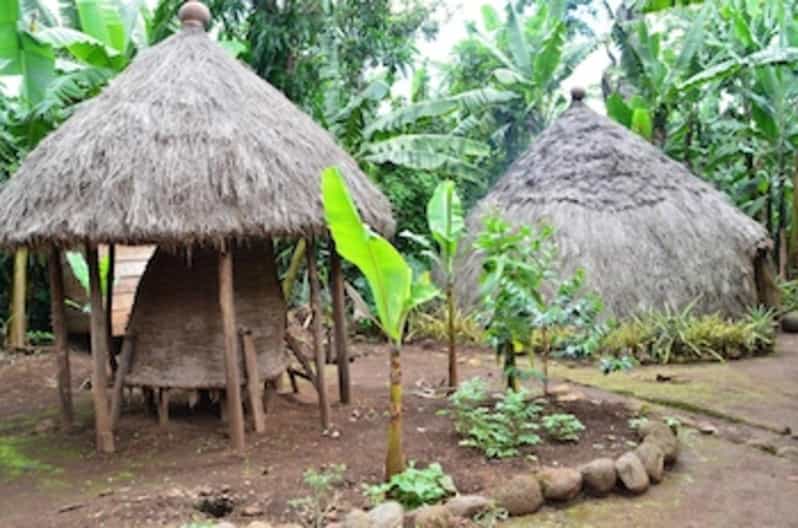 The Unique Chagga Tribe Day Trip with Coffee Plantation | GetYourGuide
