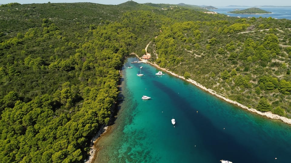 Motorboat Inmark Fisher 20 115hp -Toro 2 | GetYourGuide