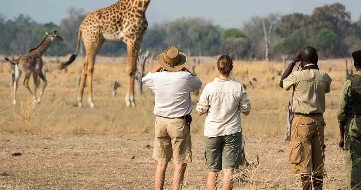 Excursión de día completo en el parque nacional de saadani | GetYourGuide