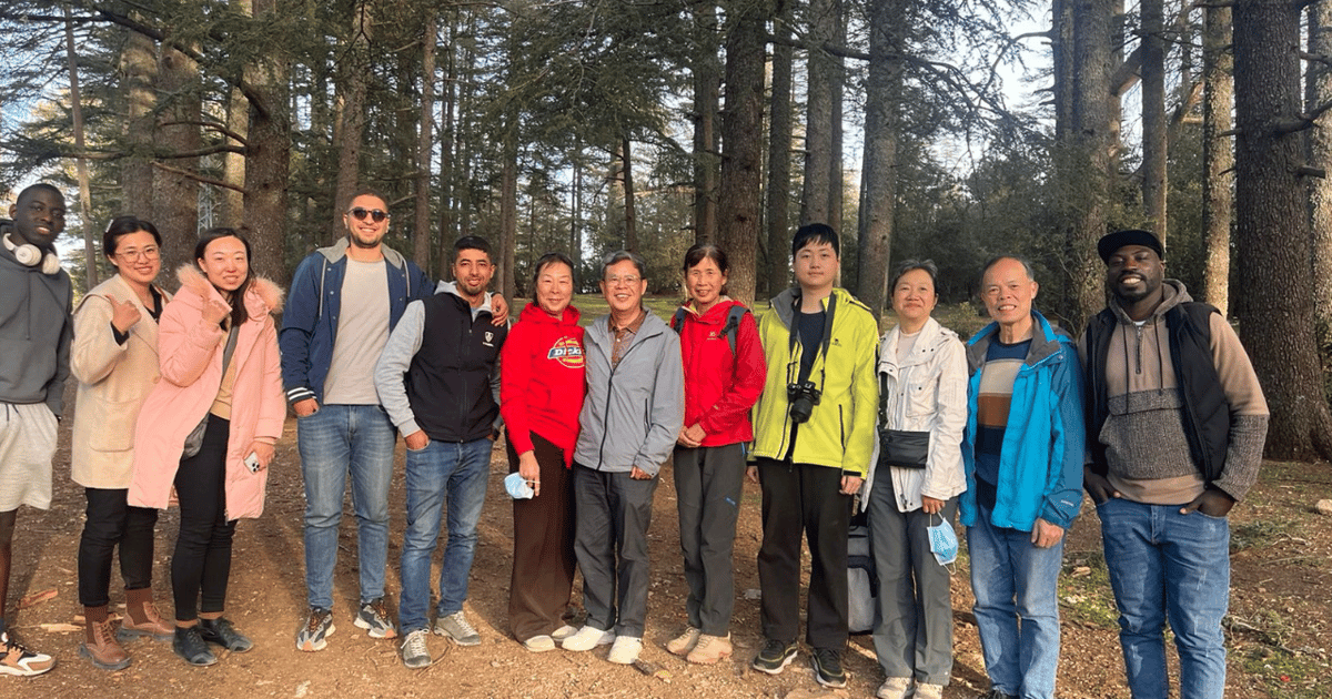 Day Trip to Atlas Mountains Cedars Forest azrou ifrane caves | GetYourGuide