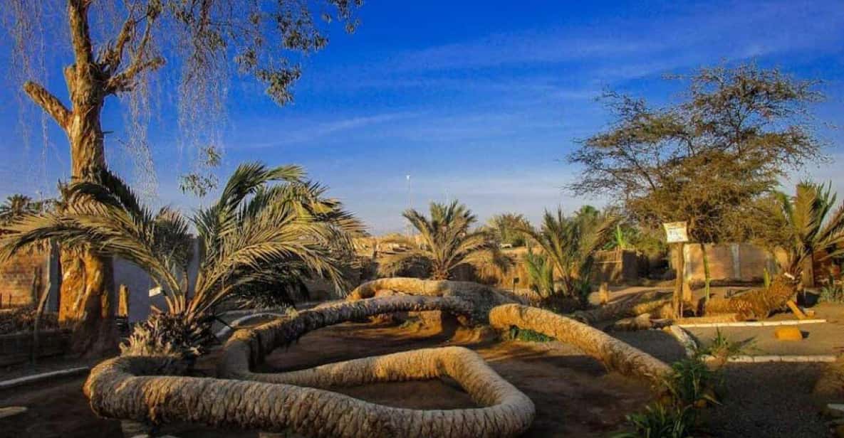 Complete tour of Ica | GetYourGuide