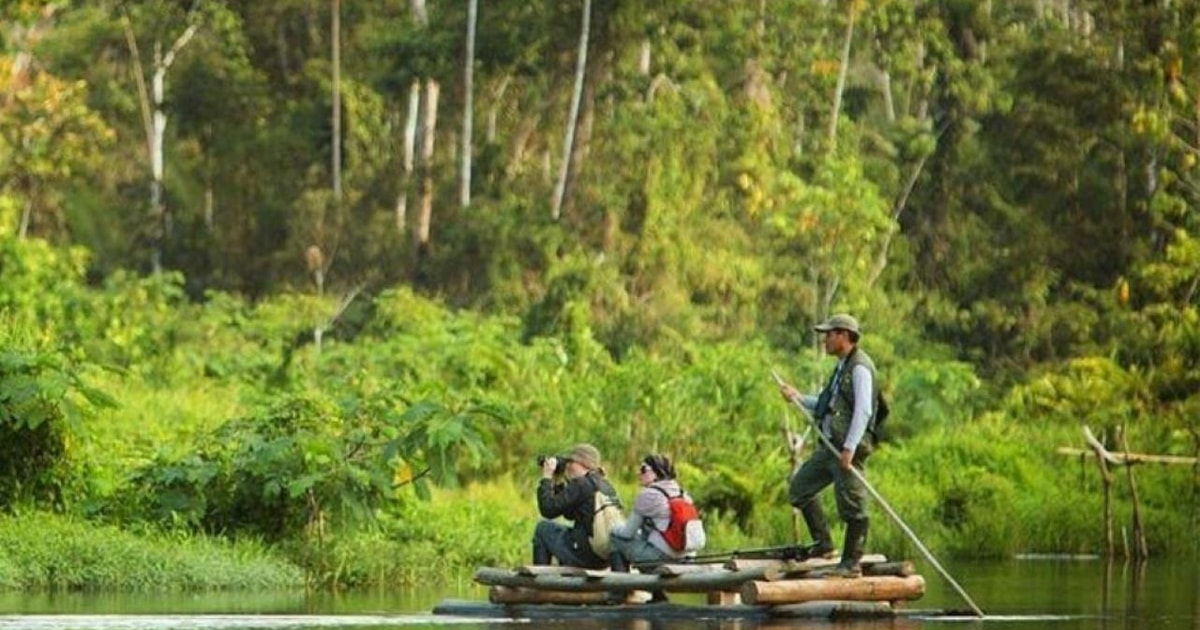 Aventura de 3 días en el Amazonas: Explorando la Selva desde Cusco | GetYourGuide