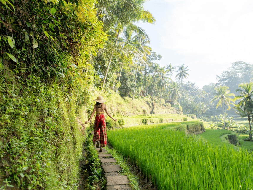 Bali : Ubud Tropical Trails, Waterfall & Rice Terraces. | GetYourGuide