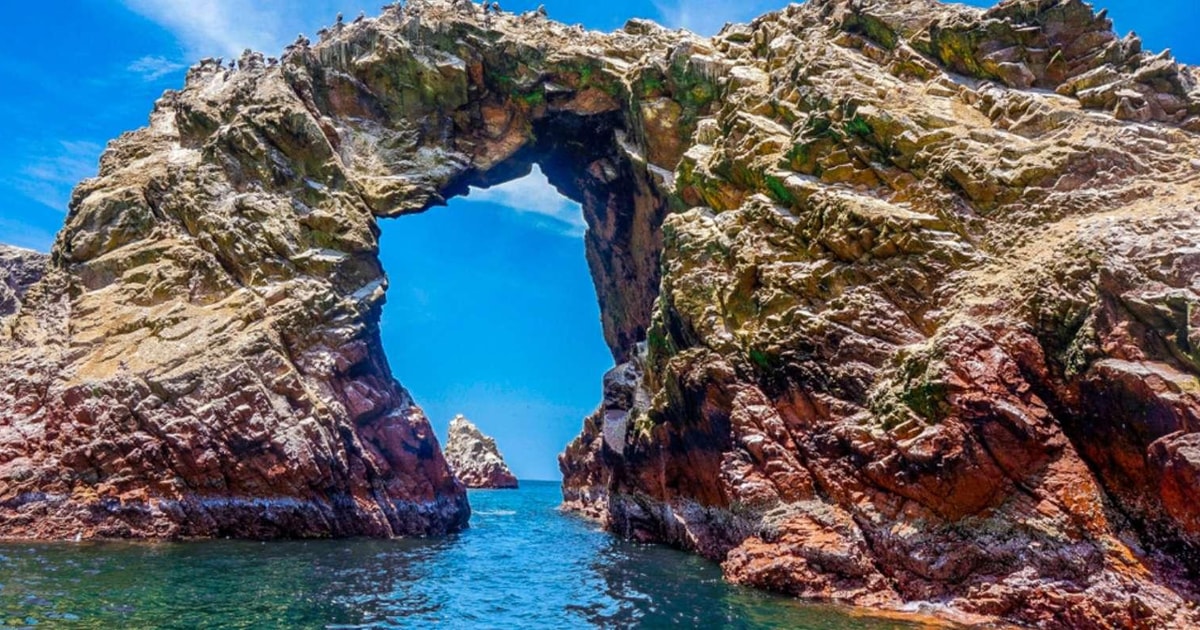 Da Paracas: Tour in barca con guida alle Isole Ballestas | GetYourGuide