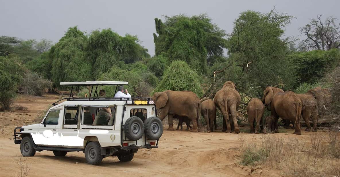 Nairobi: 3-Day All-Inclusive Samburu National Park Safari | GetYourGuide