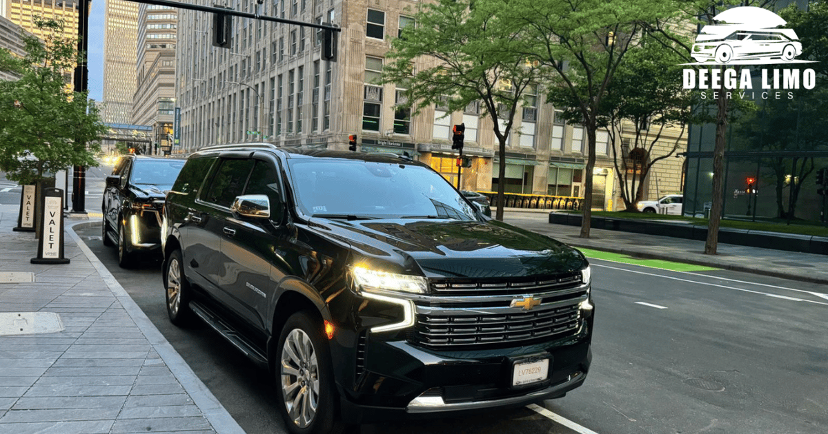Logan Airport to Gillette Stadium Limo Car Service - Deega | GetYourGuide