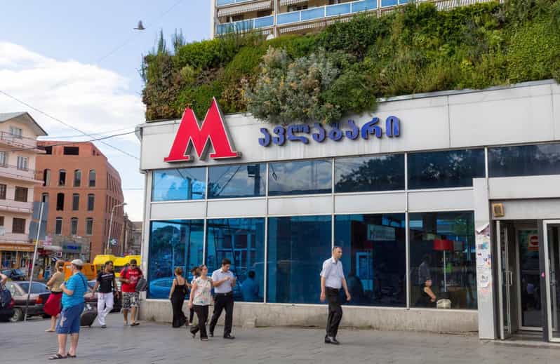 Badiauri Conoce a los habitantes locales: lo MEJOR de 2024 ...