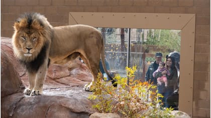 Phoenix Zoo: One Day General Admission Ticket | GetYourGuide