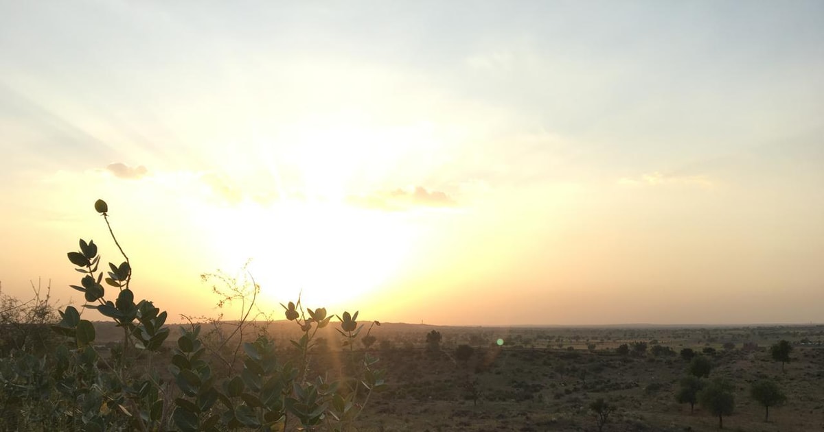 Desert camel safari with dinner in osian hotel pick and drop | GetYourGuide