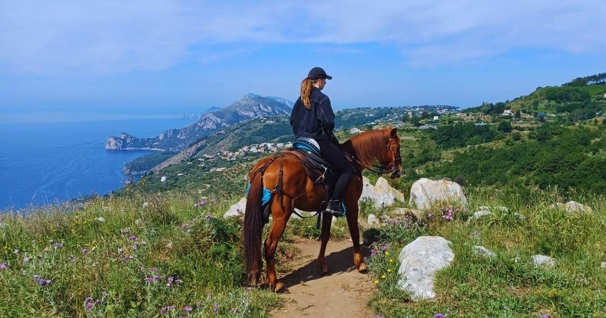 Sorrento: paseo a caballo de 3 horas por la península de Sorrento ...
