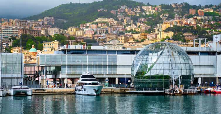 Genoa: Aquarium of Genoa with Lunch | GetYourGuide