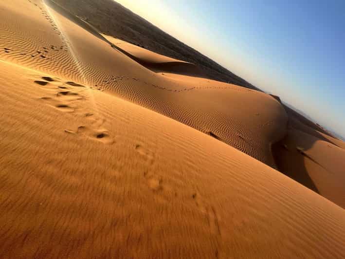 Safari and Wadi full day tour | GetYourGuide