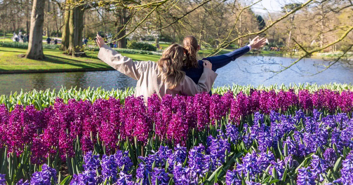 From Amsterdam: Keukenhof Entry with Shuttlebus Transfer | GetYourGuide