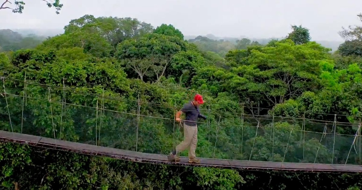 Tambopata: Lago Sandoval ve Colpa of Loros 3 Gün | GetYourGuide