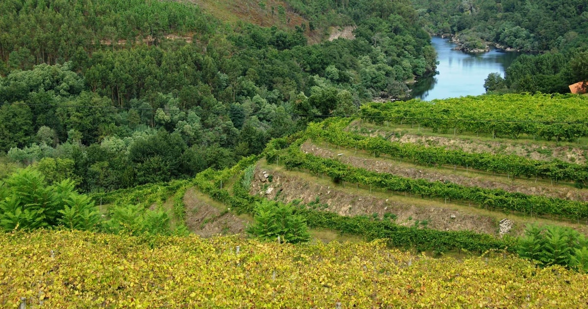 Alvarinho Wine Route: Private Full Day Tour | GetYourGuide