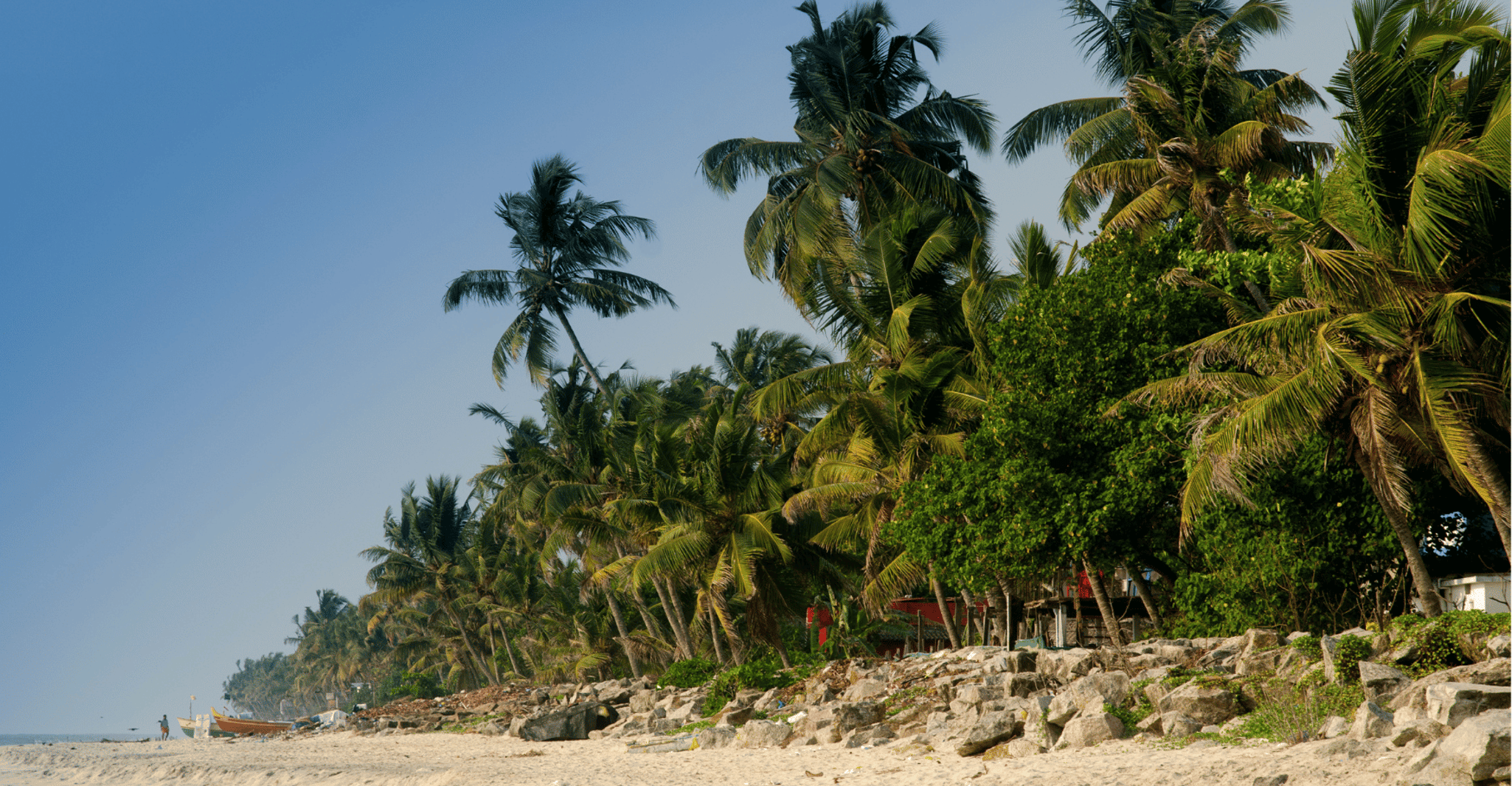 Heritage & Cultural Walk of Alleppey - Guided Walking Tour, Alappuzha ...