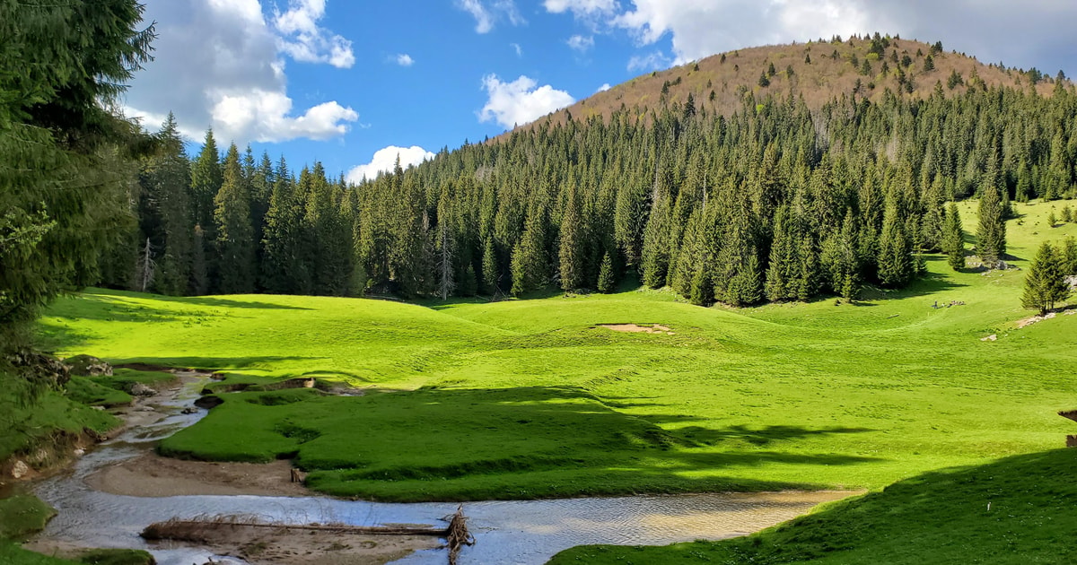 From Oradea: Apuseni Mountains Guided Hiking Tour | GetYourGuide