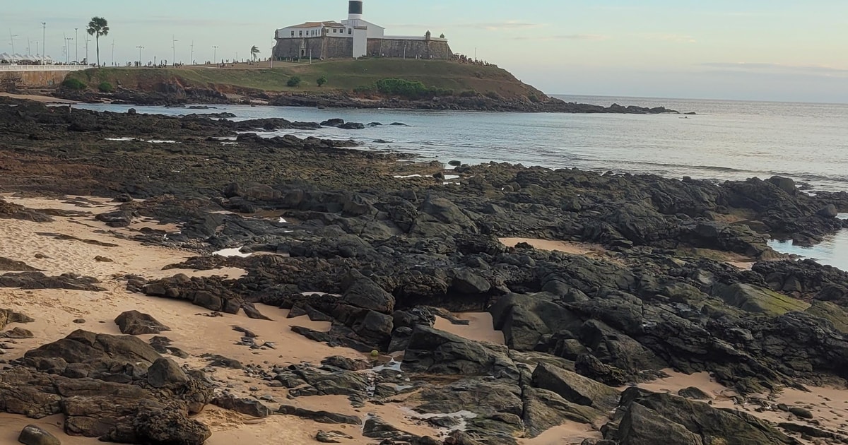 Para conhecer a Barra | GetYourGuide