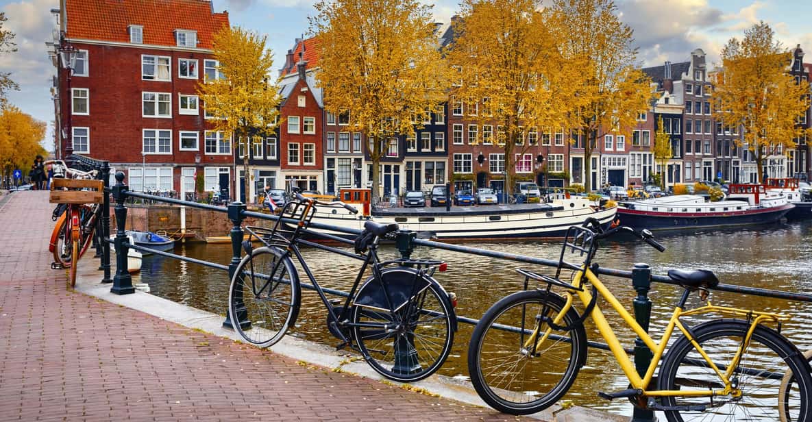 Amsterdam Eski Şehir, Gezilecek Yerler ve Doğa Bisiklet Turu | GetYourGuide