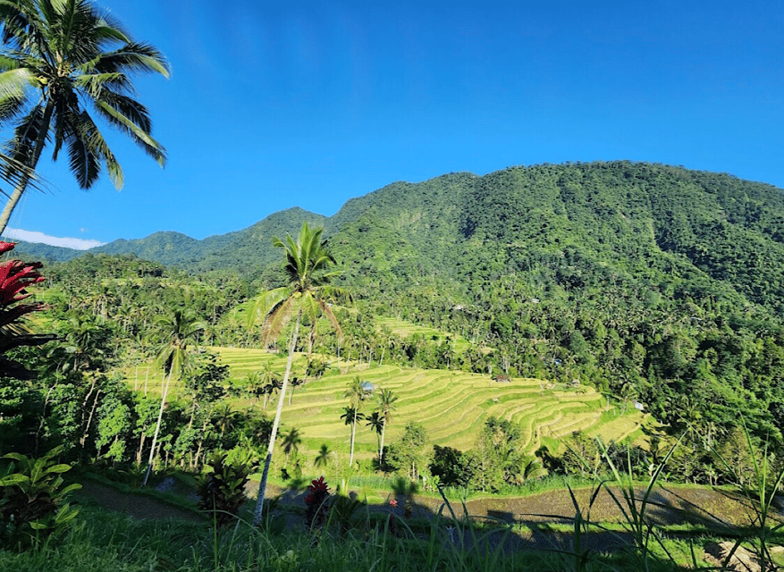 North Bali : Sekumpul & Fiji Waterfall Trekking Real Tickets | GetYourGuide