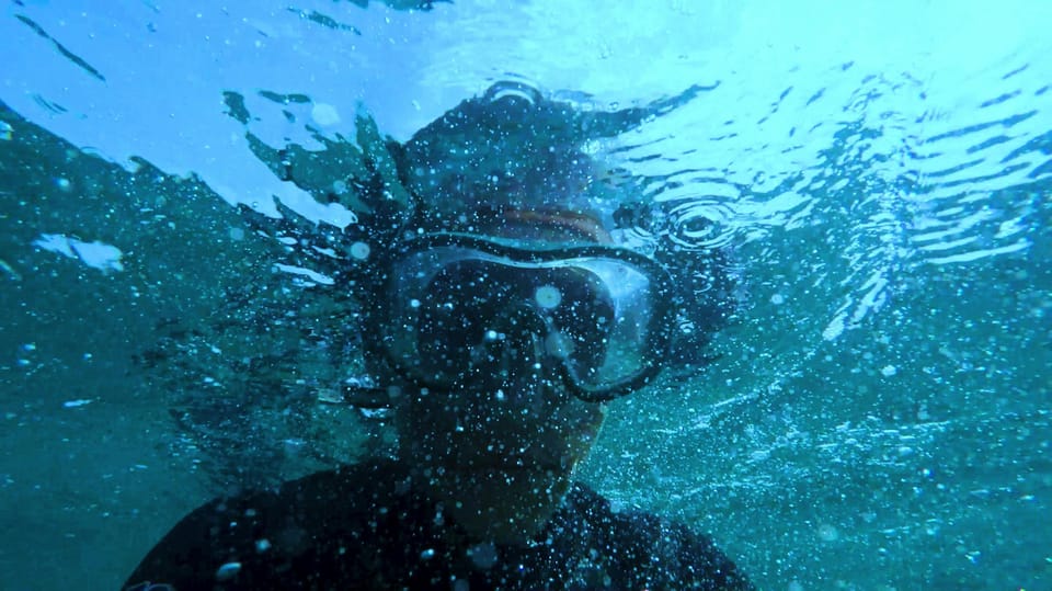 Mombasa: Wasini Dolphin Tour | GetYourGuide