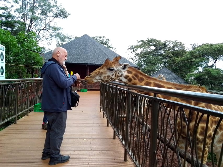 Nairobi Safari walk, Giraffe center, Karen Blixen & Bomas | GetYourGuide