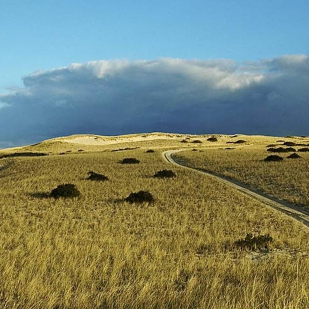 Provincetown: Cape Cod National Seashore Park Dune Tour | GetYourGuide