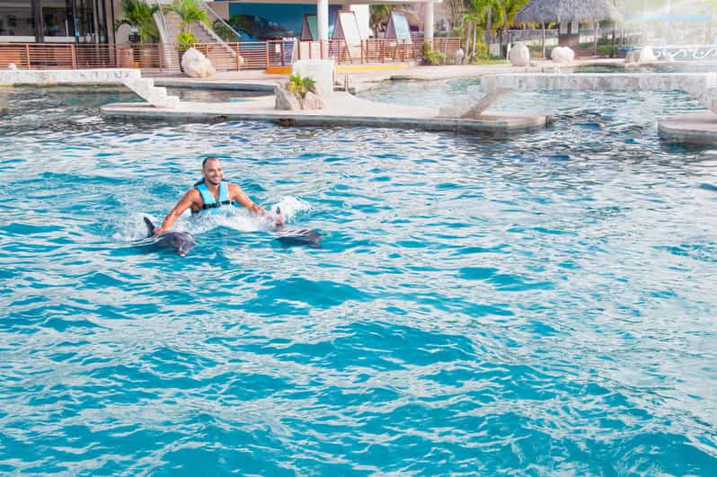 CANCÚN: Experiencia Dolphin Beyond + Parque Acuático y Buffet ...