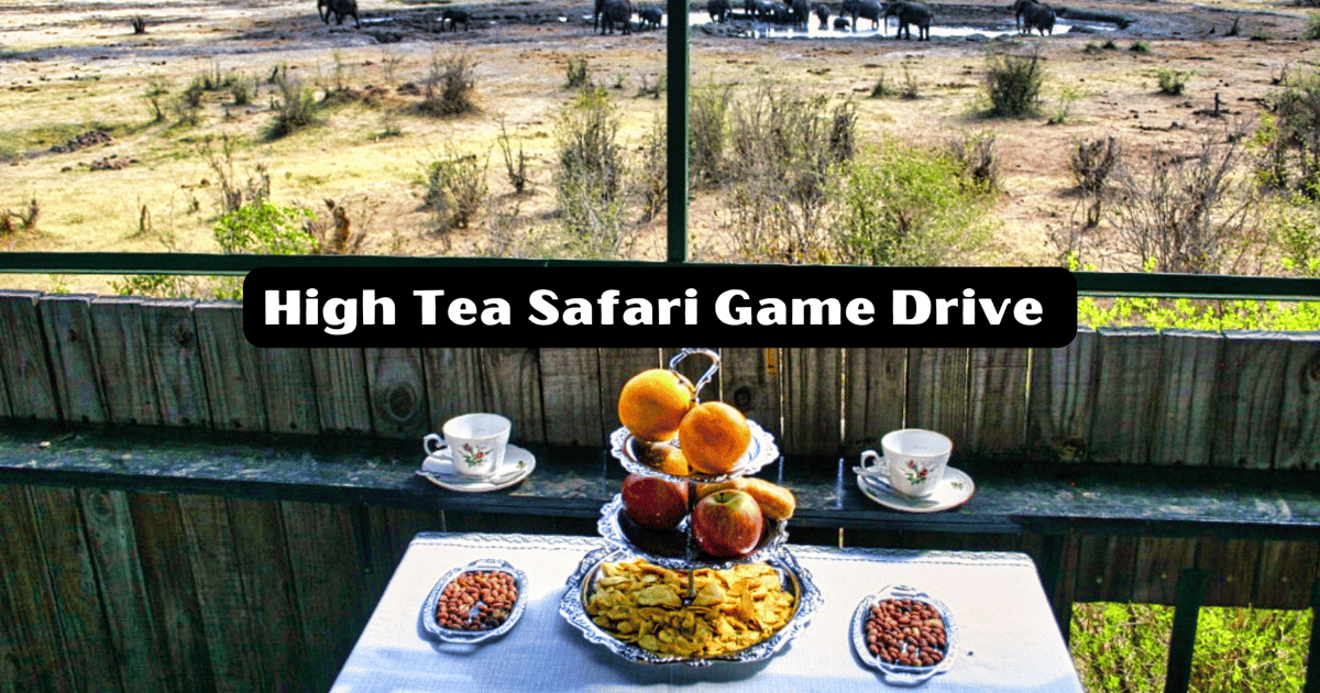 Singular safari High Tea en el Parque Nacional de Chamabondo | GetYourGuide