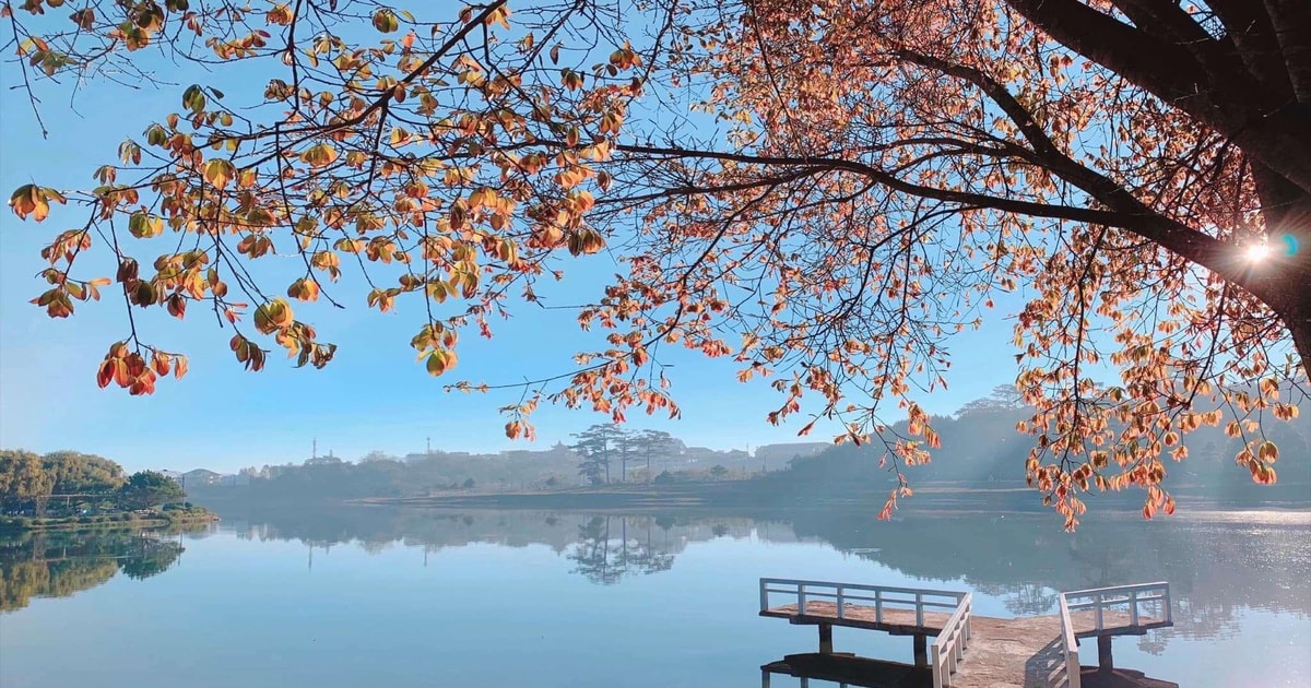 SLAAPBUS DELEN DA LAT - HO CHI MINH | GetYourGuide