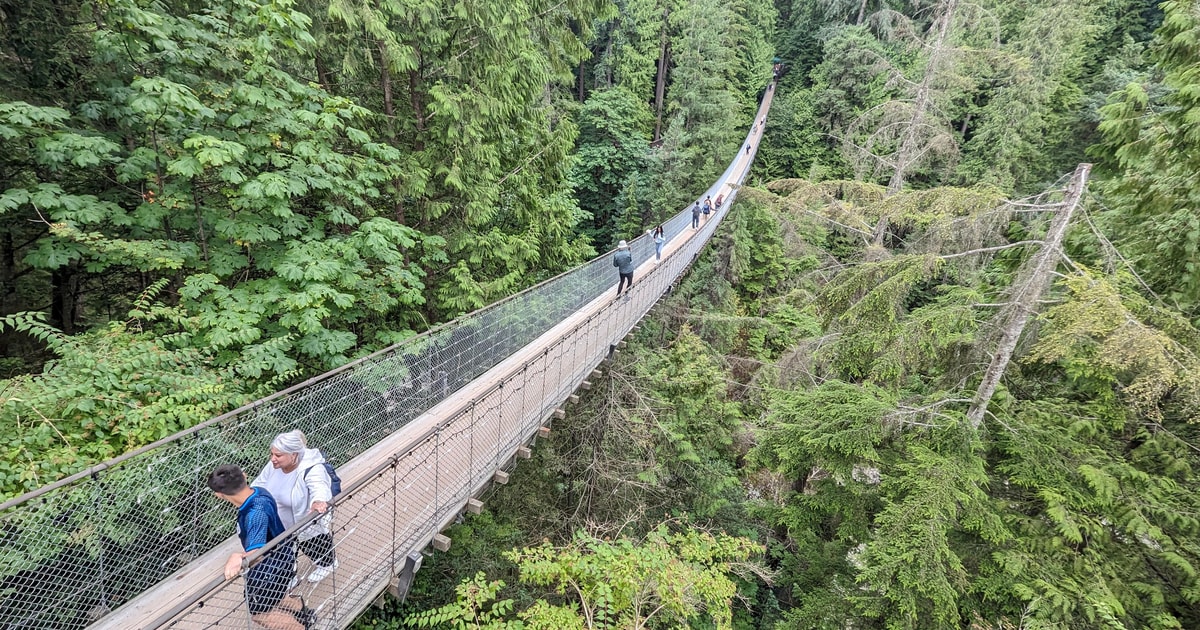 Puente colgante de Capilano, luces del cañón y 4 puntos destacados ...