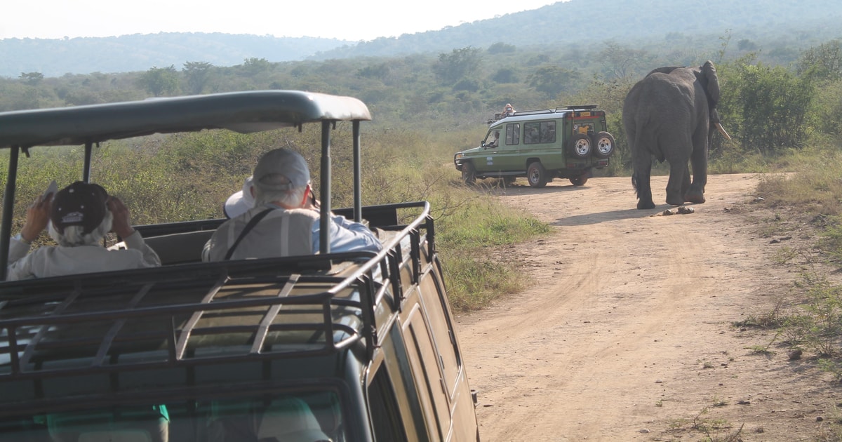 SAFARI D'AVENTURE | GetYourGuide