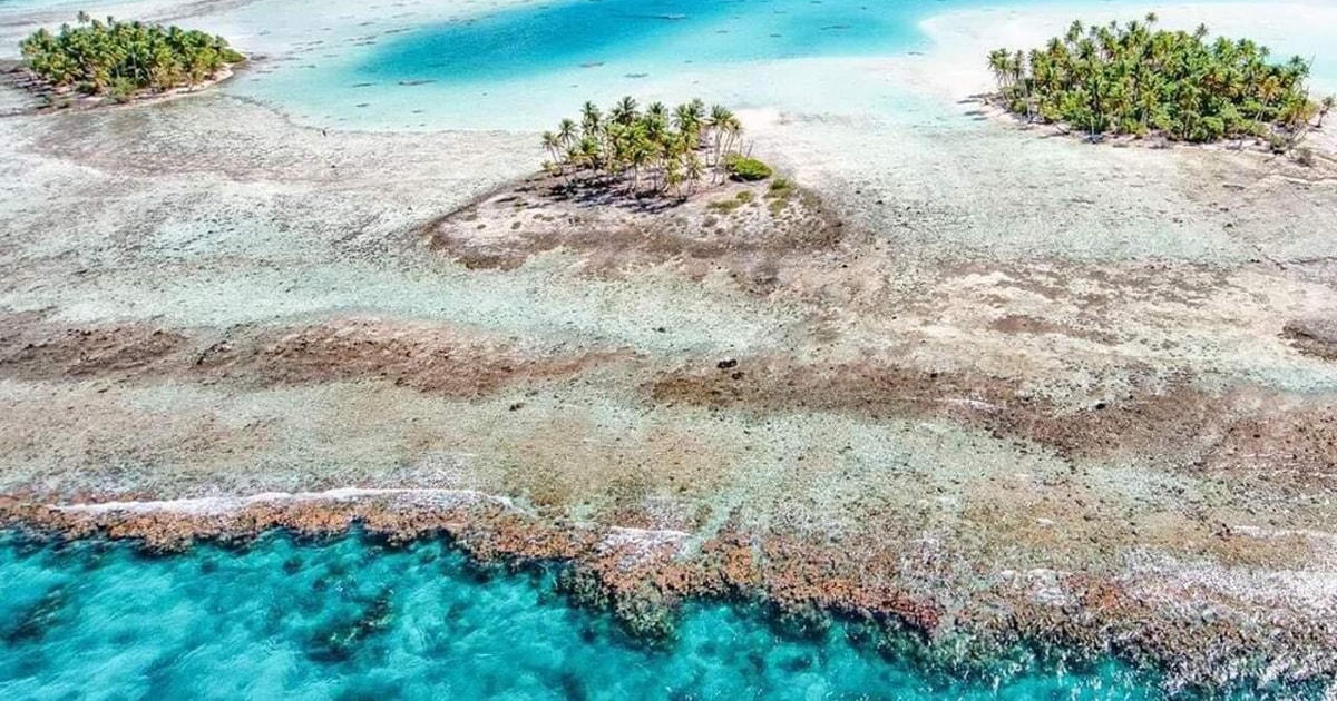 Blue Lagoon Eco-Tour, Avatoru Pass Snorkeling, Secret Green Lagoon ...