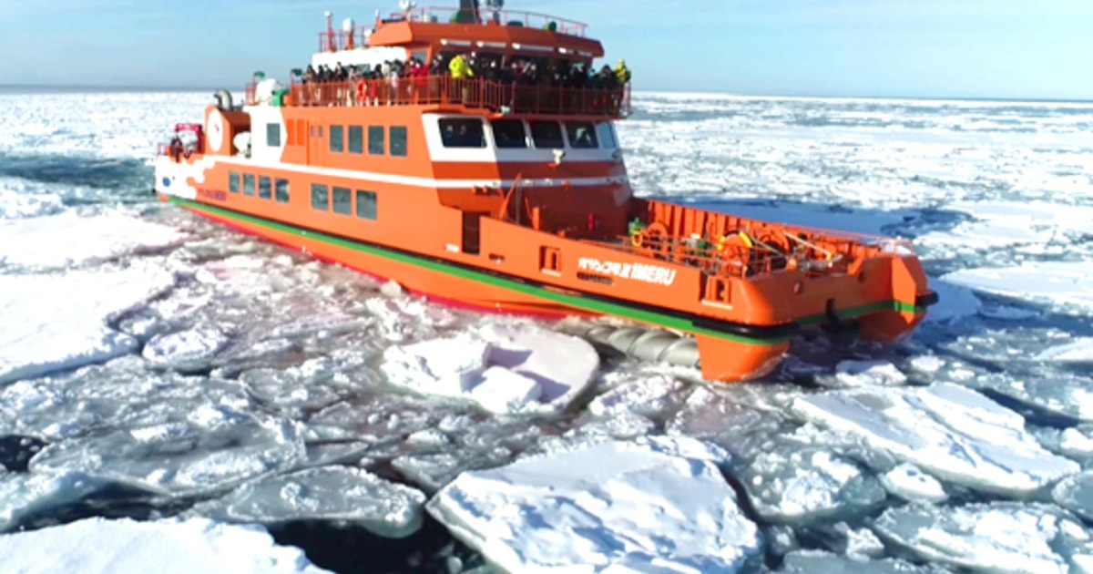 Icebreaker GARINKO GO III Cruise Explore Ice and Snow Tour | GetYourGuide