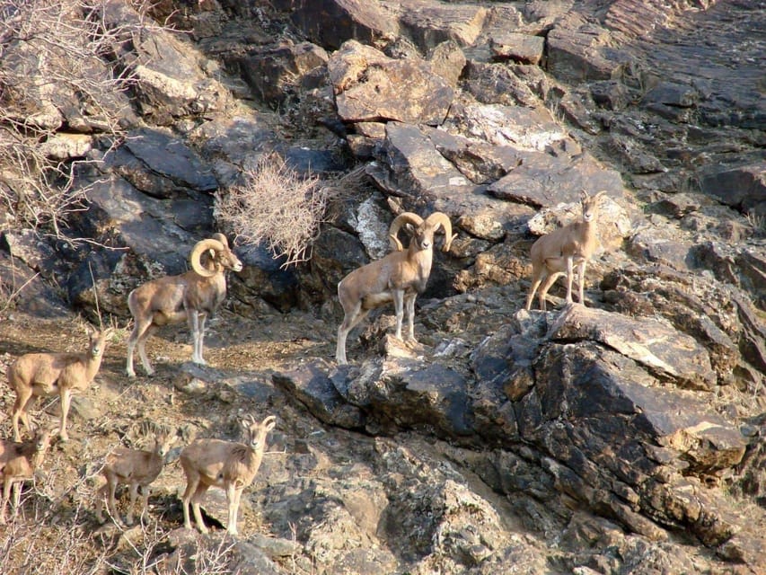 Undiscovered Uzbekistan - Hayat Village Tour from Samarkand | GetYourGuide