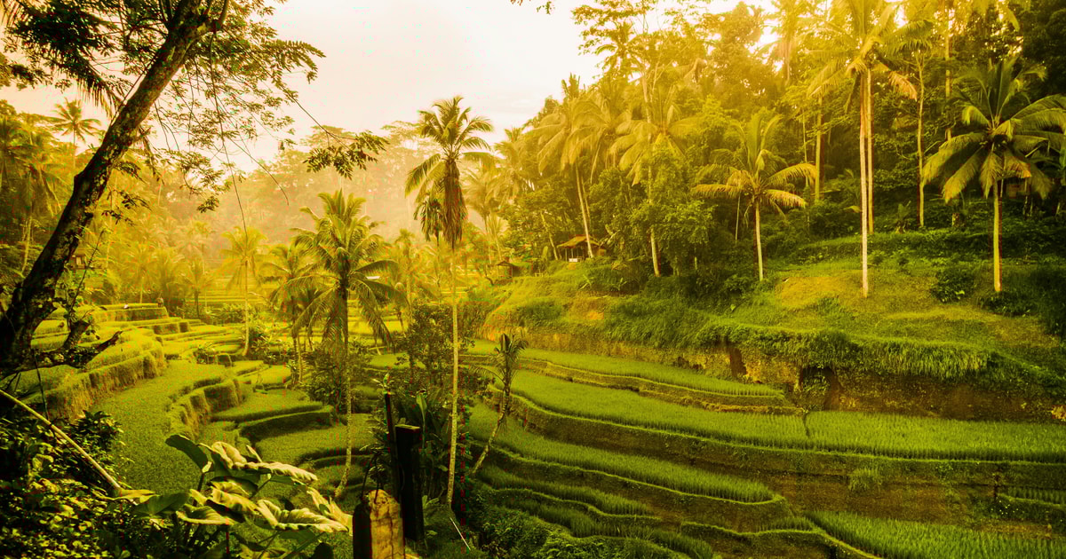 Ubud: Private Ubud Tour Sightseeing, Culture and Waterfalls. | GetYourGuide