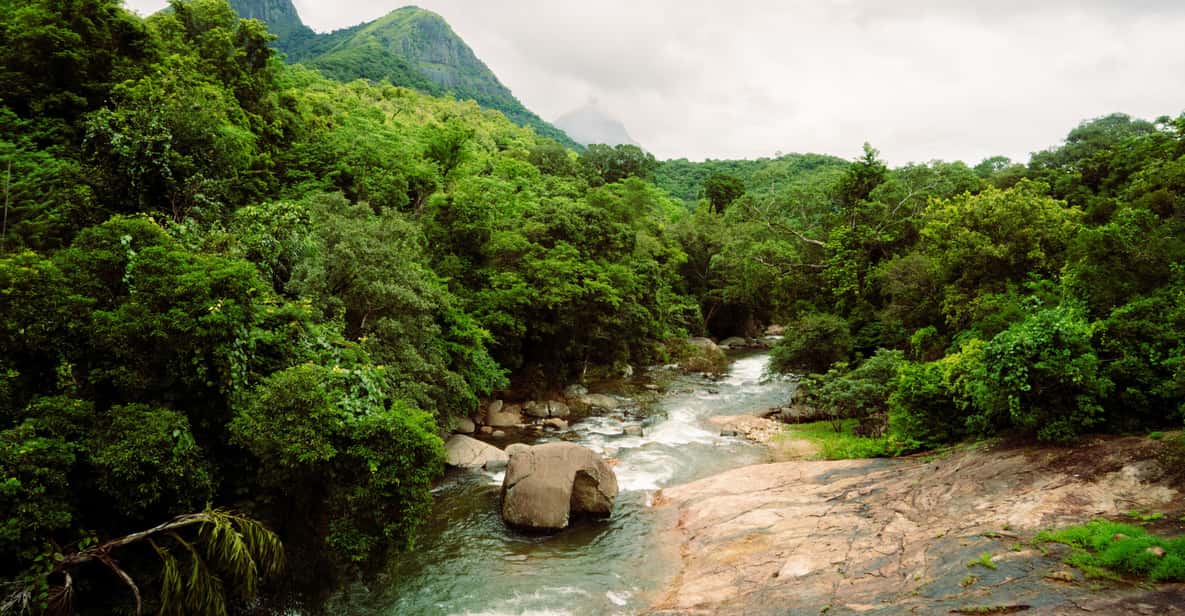 Kandy(Meemure): Knuckles Range Guided Small-Group Hike | GetYourGuide