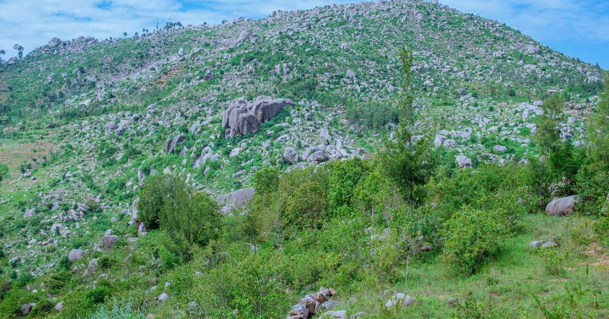 Vihiga: paseo guiado por el bosque de las colinas de Maragoli ...