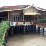 Davao Buda - Marilog | GetYourGuide