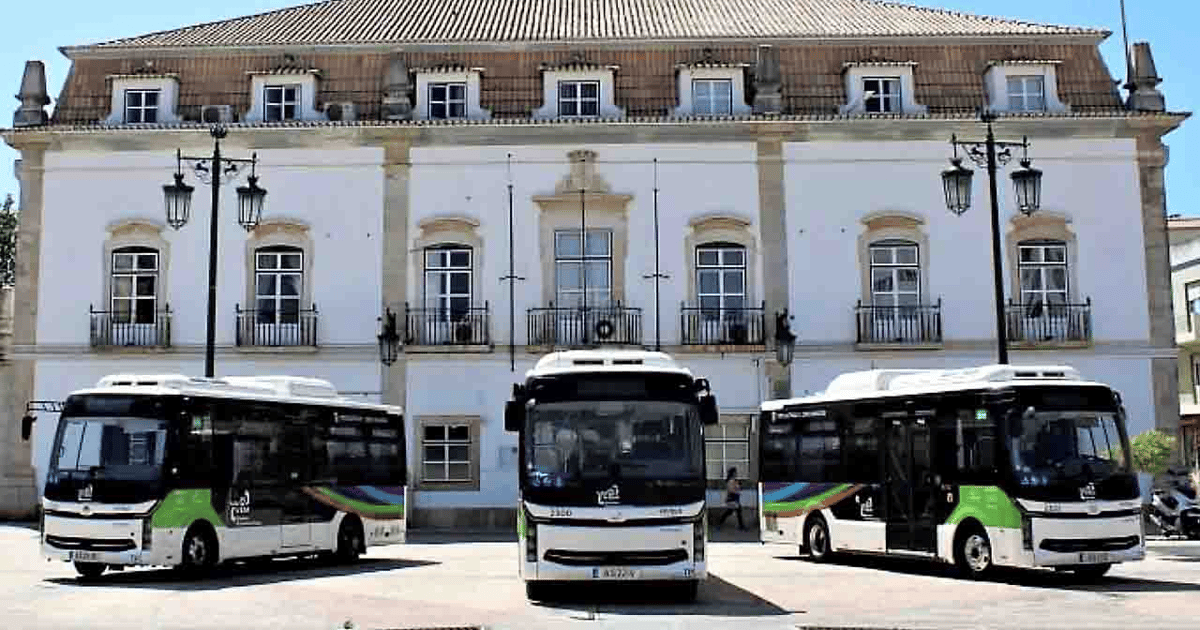 Explore Portimão area with 3-Day & 7-Day Bus Pass | GetYourGuide