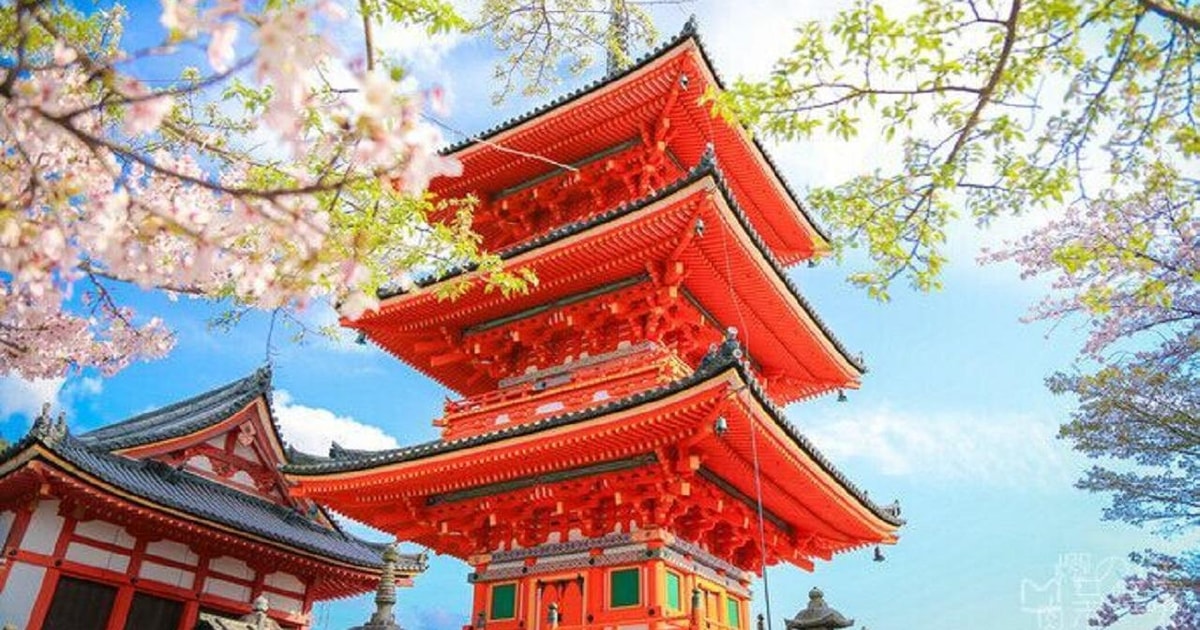 Osaka: Kyoto,Nara Guided Day Tour get to Kyoto's spirit | GetYourGuide