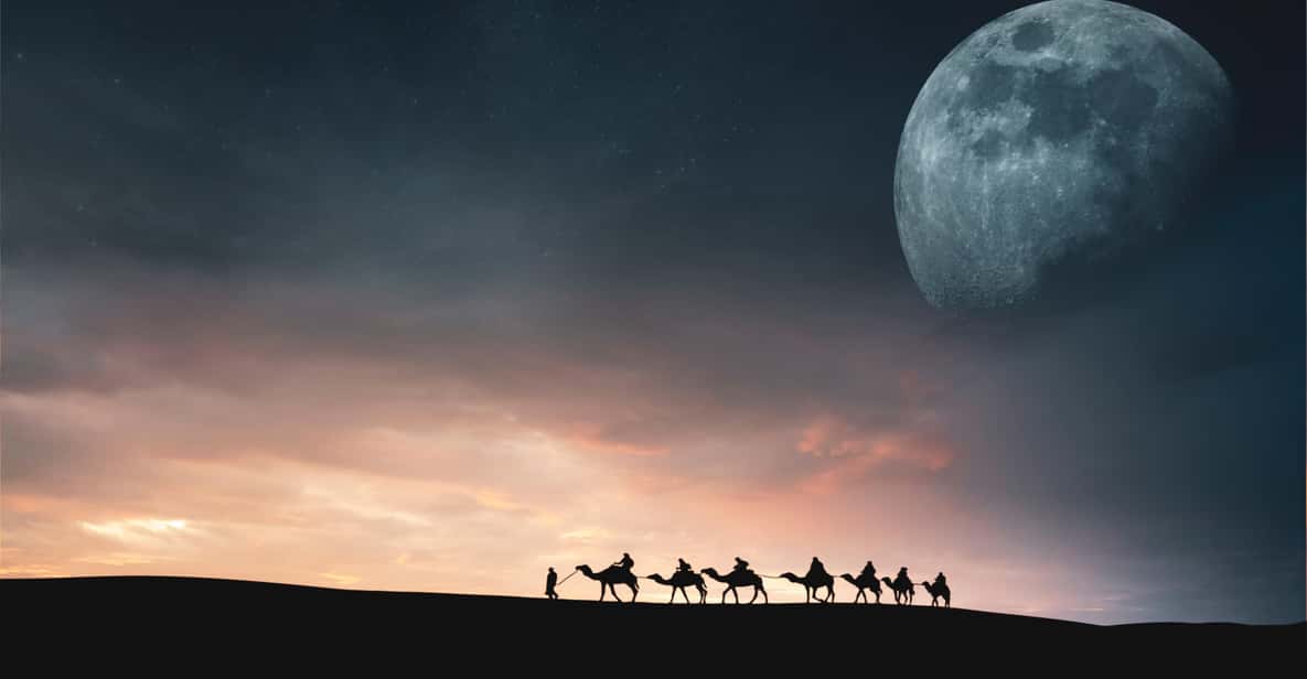 From Djerba & Zarzis : Wild bivouac desert night | GetYourGuide