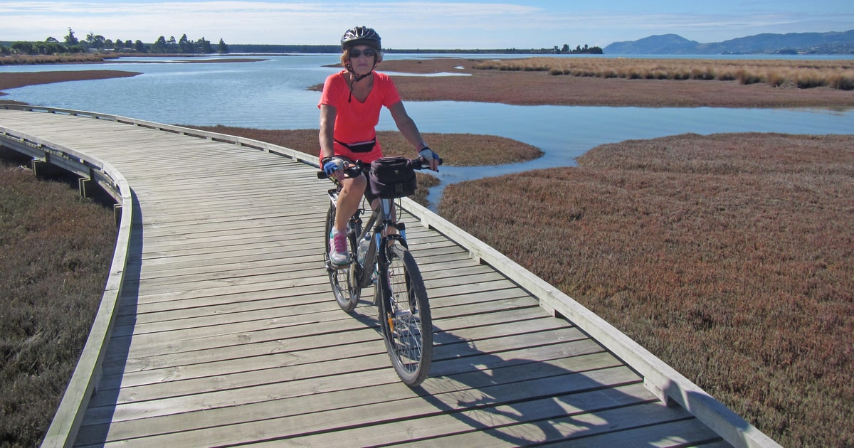 Nelson: Self-Guided Great Taste Trail Bike Ride to Mapua | GetYourGuide