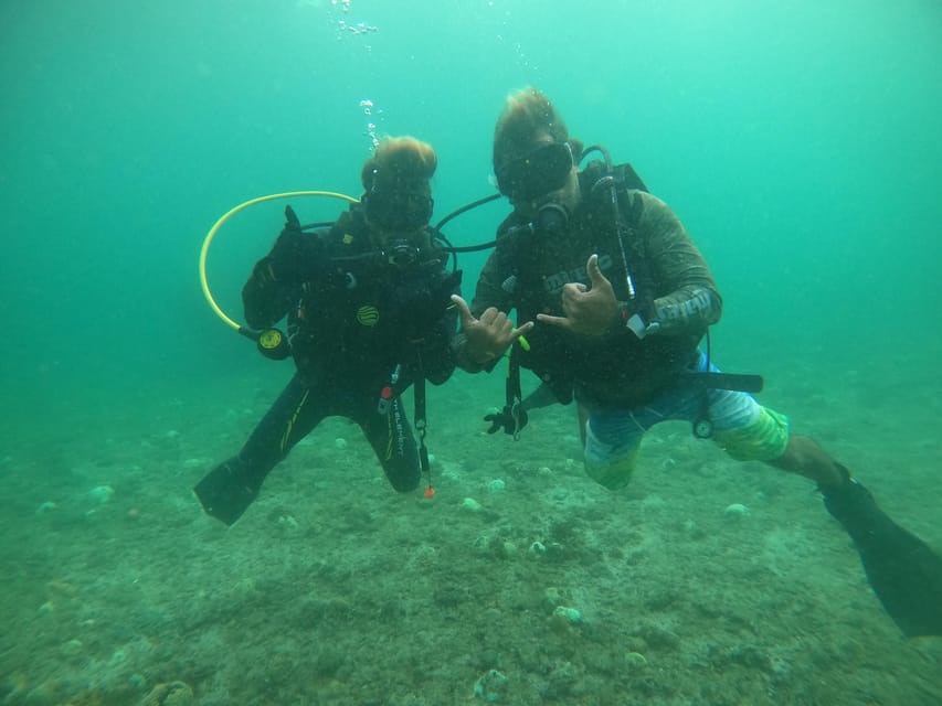 Luxury Try Scuba Diving ( Jumeirah Beach ) | GetYourGuide