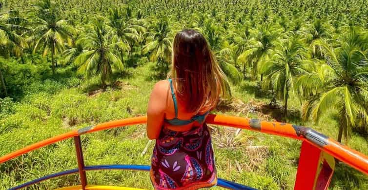 Gunga Beach Tour | GetYourGuide